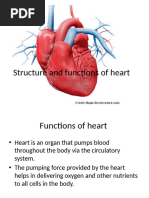Heart Anatomy & Circulation Guide | PDF | Heart | Atrium (Heart)