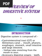 Digestive System Anatomy | PDF | Human Digestive System | Stomach
