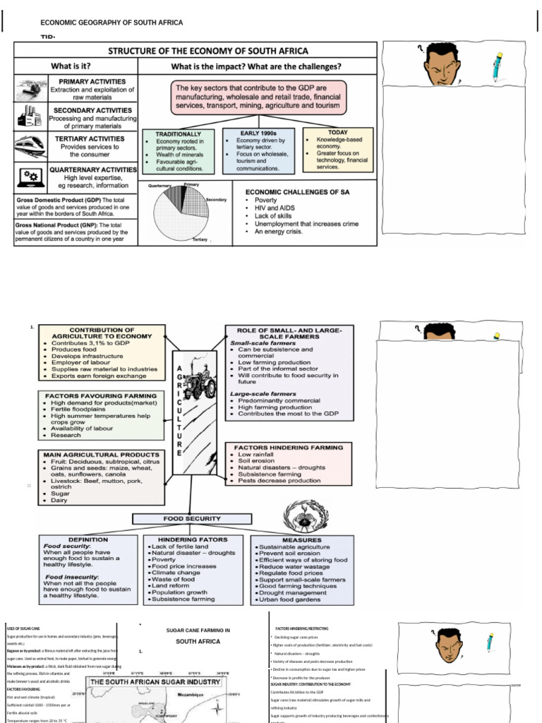 Economic Geography Mind Maps | PDF | Sugarcane | Mining