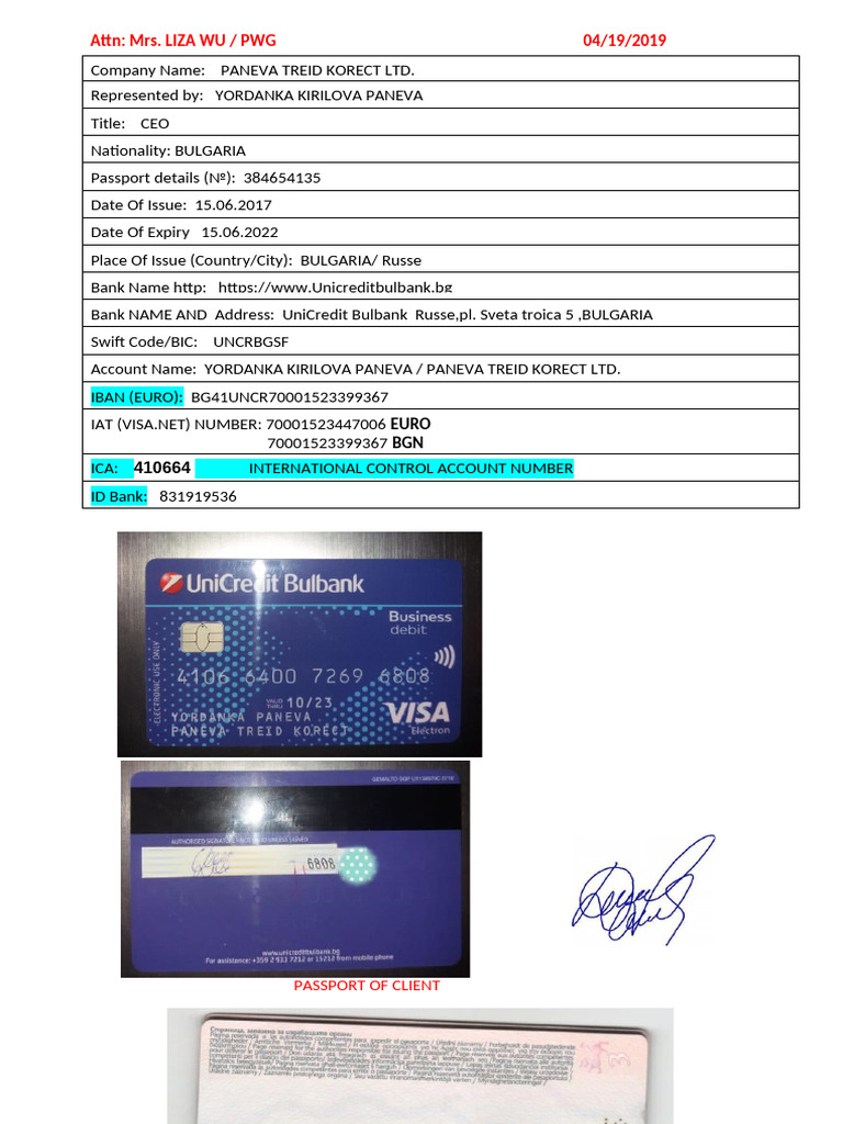 0) Blank Visa Net Client Form | PDF