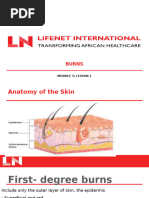 Flamazine® Cream for Burn Care | PDF | Wound | Dermatitis