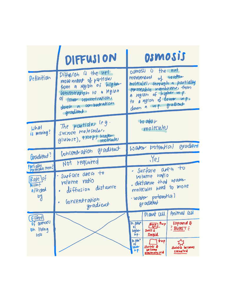 Diffusion and Osmosis Table | PDF