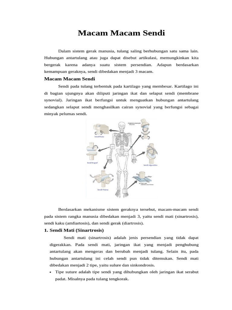 Macam Macam Sendi | PDF