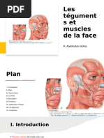 Anatomie des Muscles de la Face | PDF | Lèvre | Anatomie
