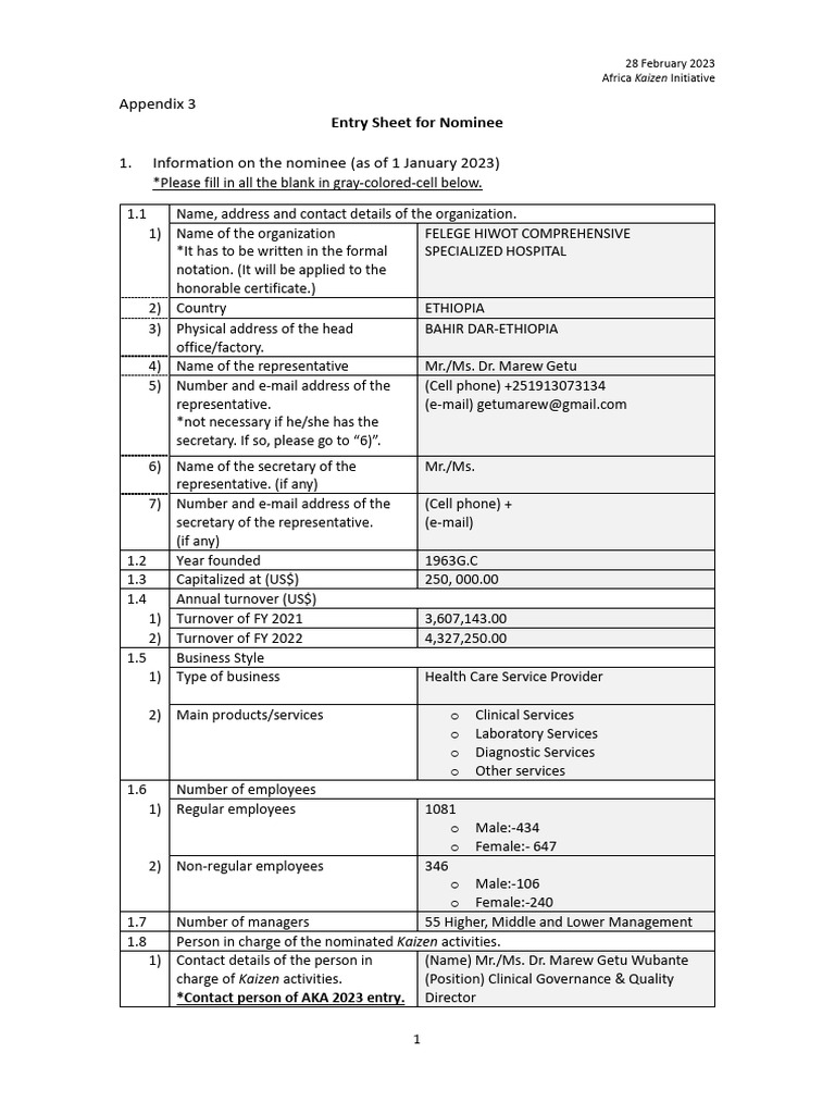 Kaizen Implementation at Felege Hiwot Hospital | PDF | Business