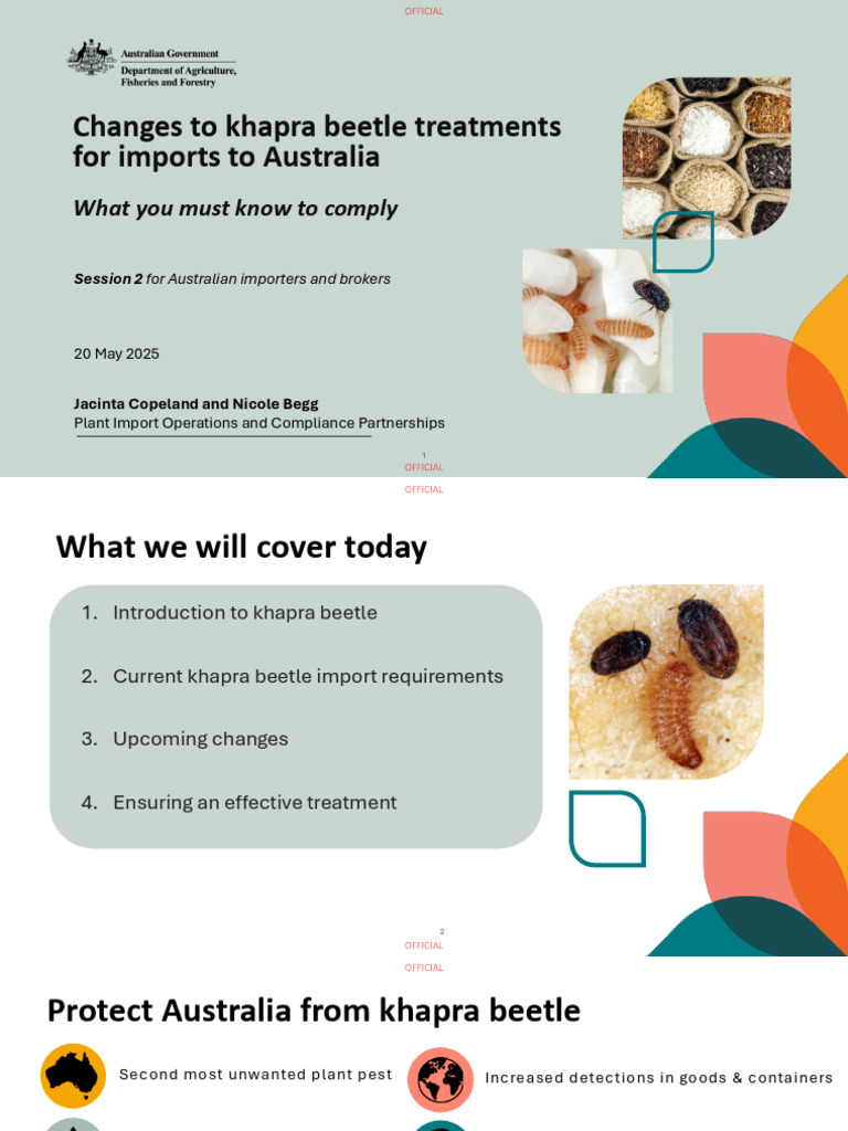 Information Session Changes Khapra Beetle Treatments Aus Imports | PDF ...
