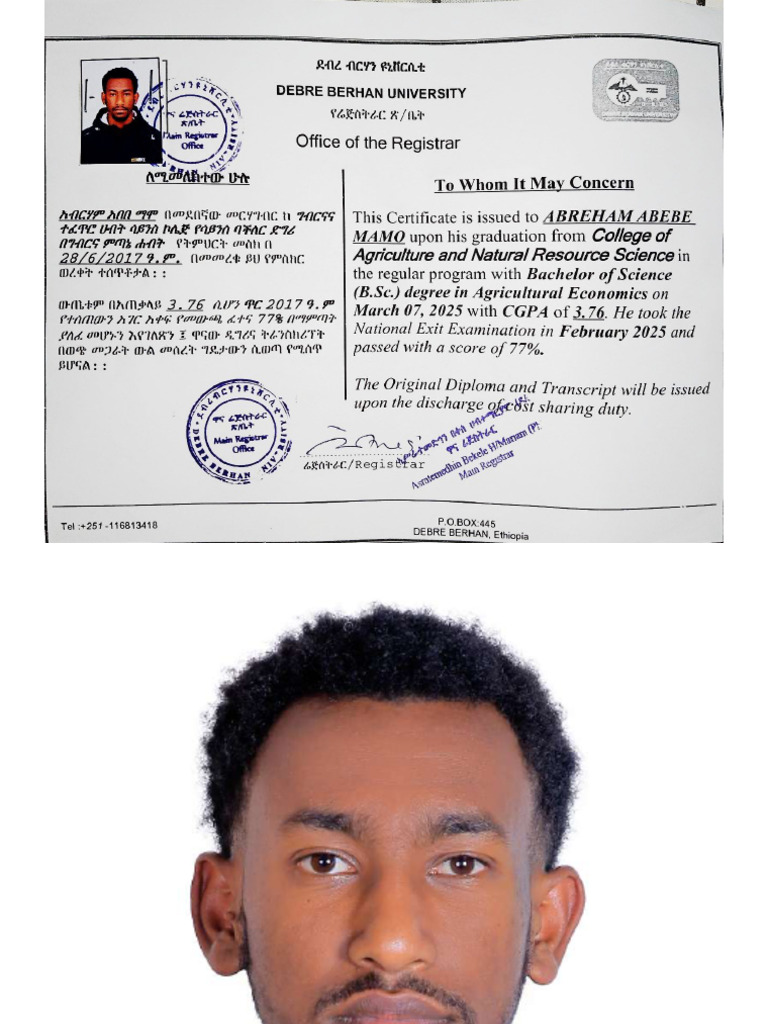 Abreham Abebe | PDF