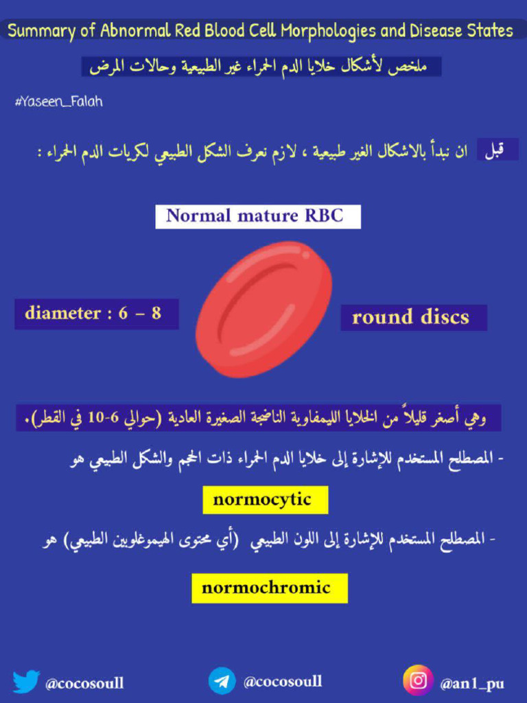 Summary of Abnormal Morphology Cells 38 | PDF