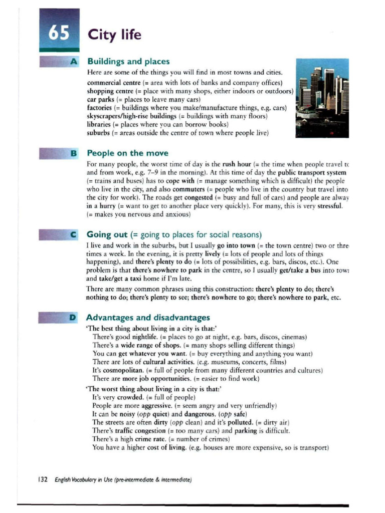 City Vs Country Life | PDF