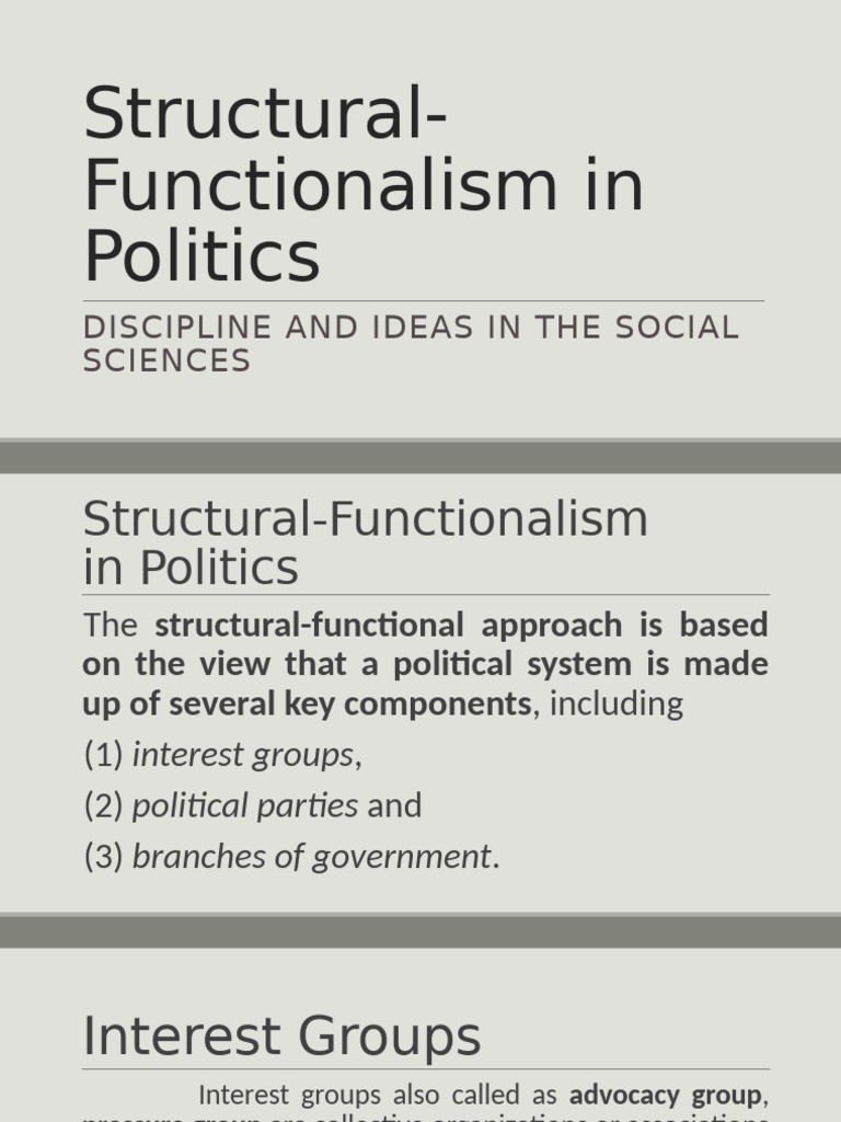 Structural-Functionalism in Politics | PDF | Advocacy Group | Political ...