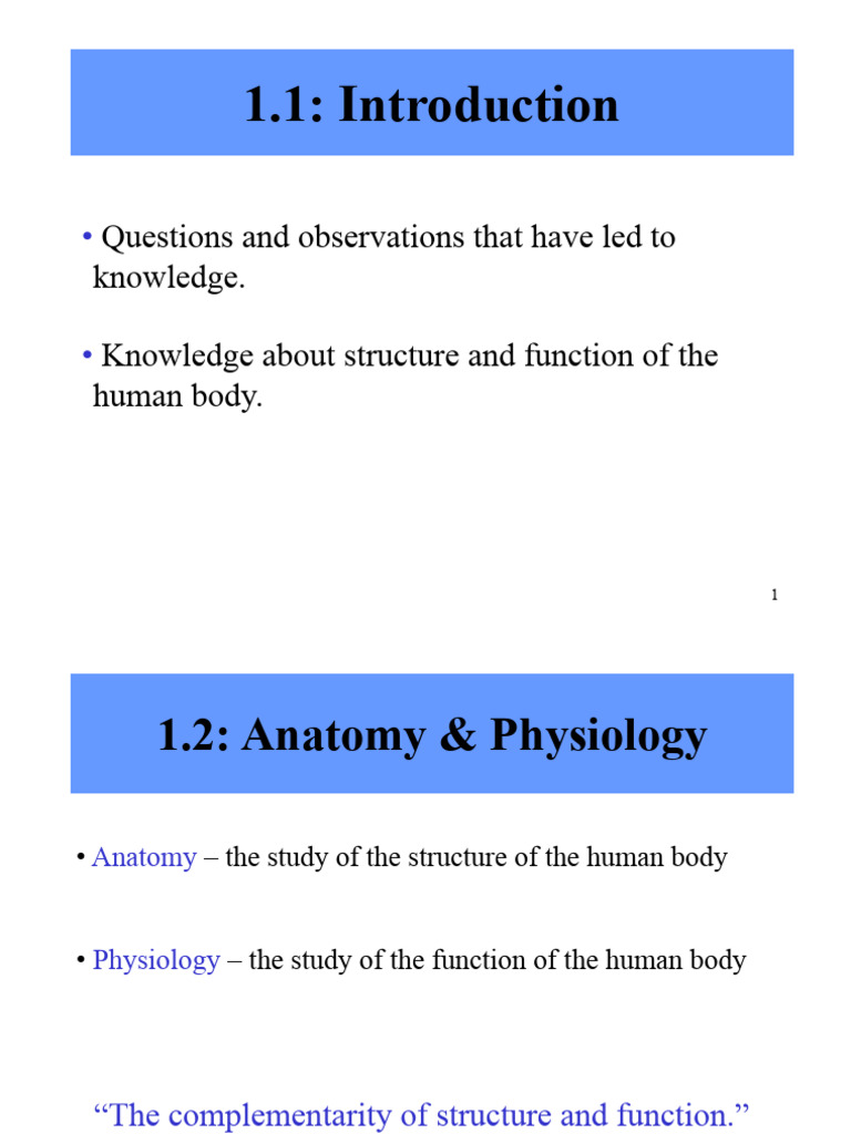Human Body Anatomy and Physiology Guide | PDF | Anatomical Terms Of ...