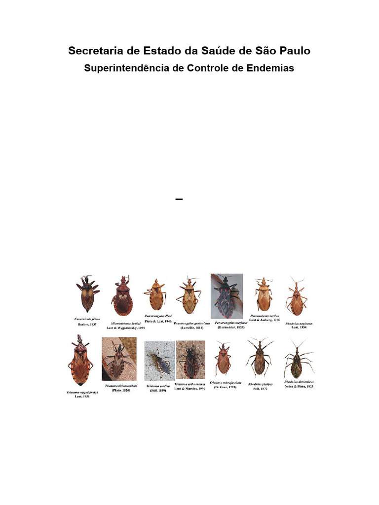 Guia de Envio de Triatomíneos Suspeitos | PDF | Insetos | Boca