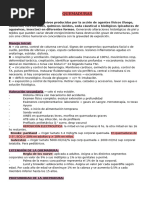 Quemaduras Faciales y Signos de Flogosis | PDF | Quemar | Inflamación