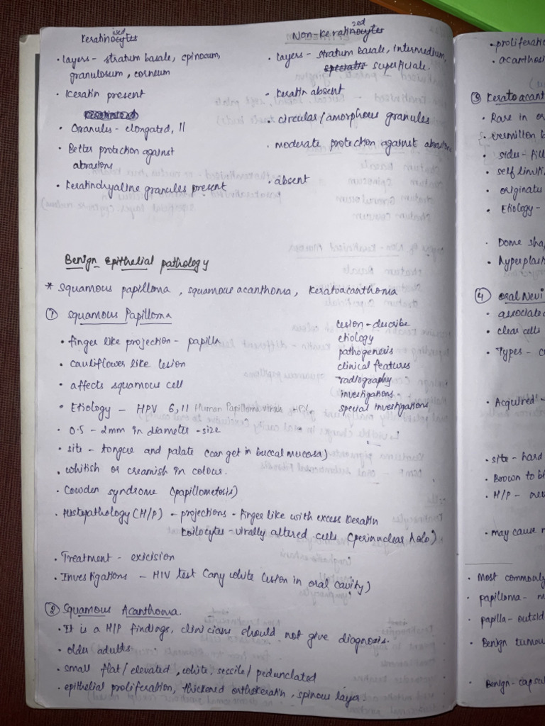Full Notes | PDF