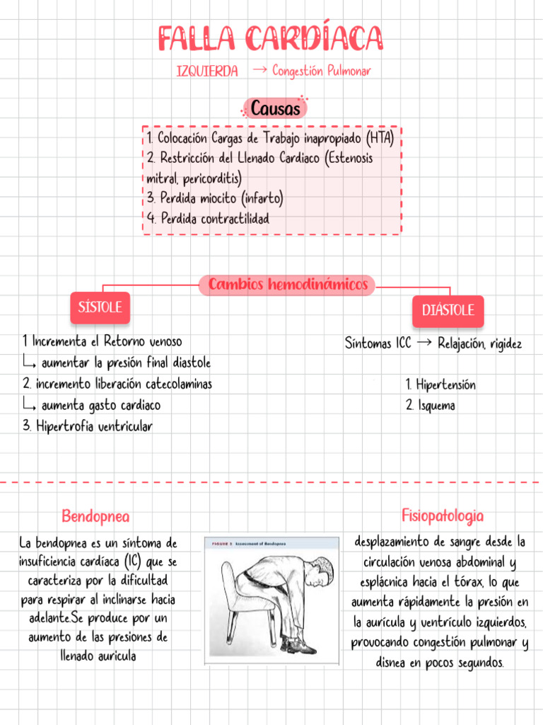 Causas y Tratamientos de la Falla Cardíaca | PDF | Insuficiencia ...