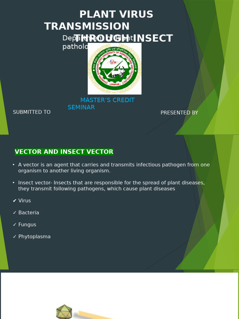 Plant Virus Transmission Through Insect Vector | PDF | Plant Virus | Virus