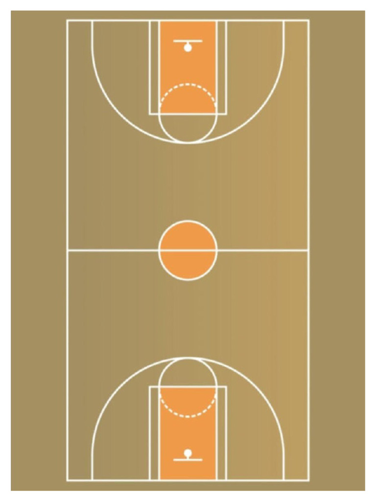 Lap. Basket | PDF