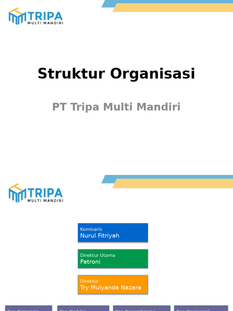 Struktur_Organisasi_PT_Tripa_Multi_Mandiri | PDF