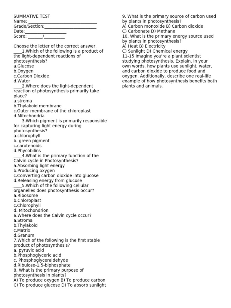 Photosynthesis Summative Test | PDF