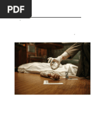 Informacion Factual | PDF