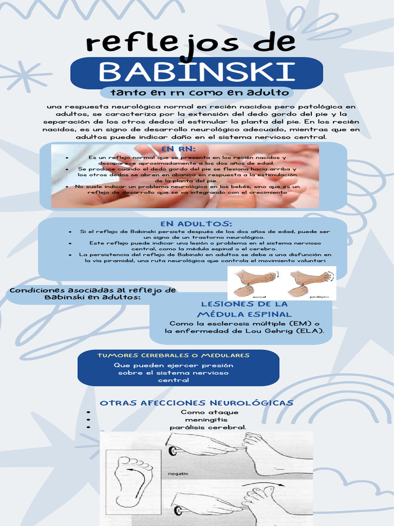 Reflejo de Babinski en Adultos y RN | PDF