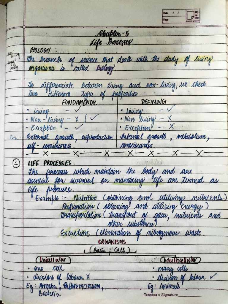 (Bio) Chapter 5 | PDF