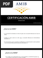 Guía para Certificación AMIB | PDF | Bolsa | Economias