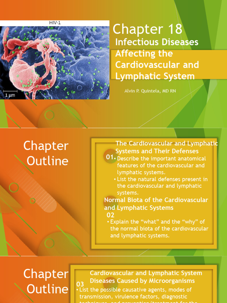 Cardiovascular & Lymphatic System Infections | PDF | Infection ...
