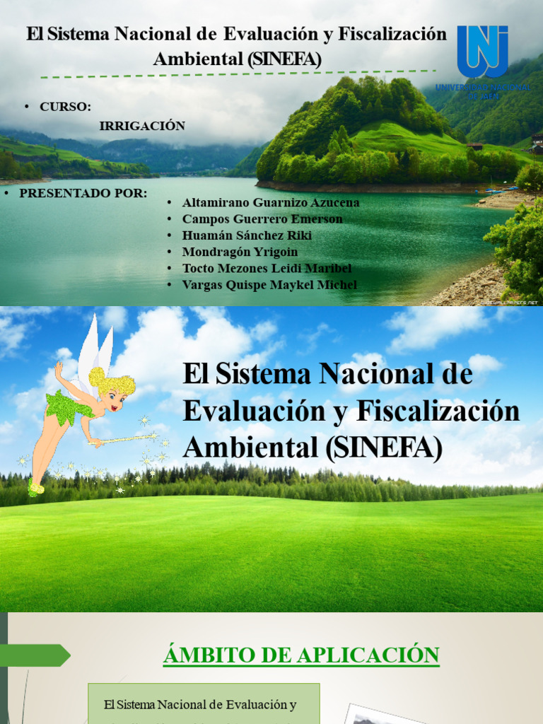 Exposici-N - Sem 04-SINEFA | PDF | Gobierno