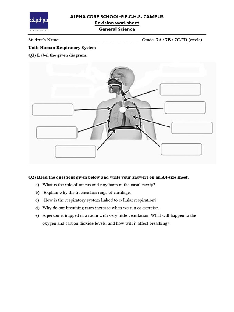 Grade 7 G.science Revision Worksheet | PDF