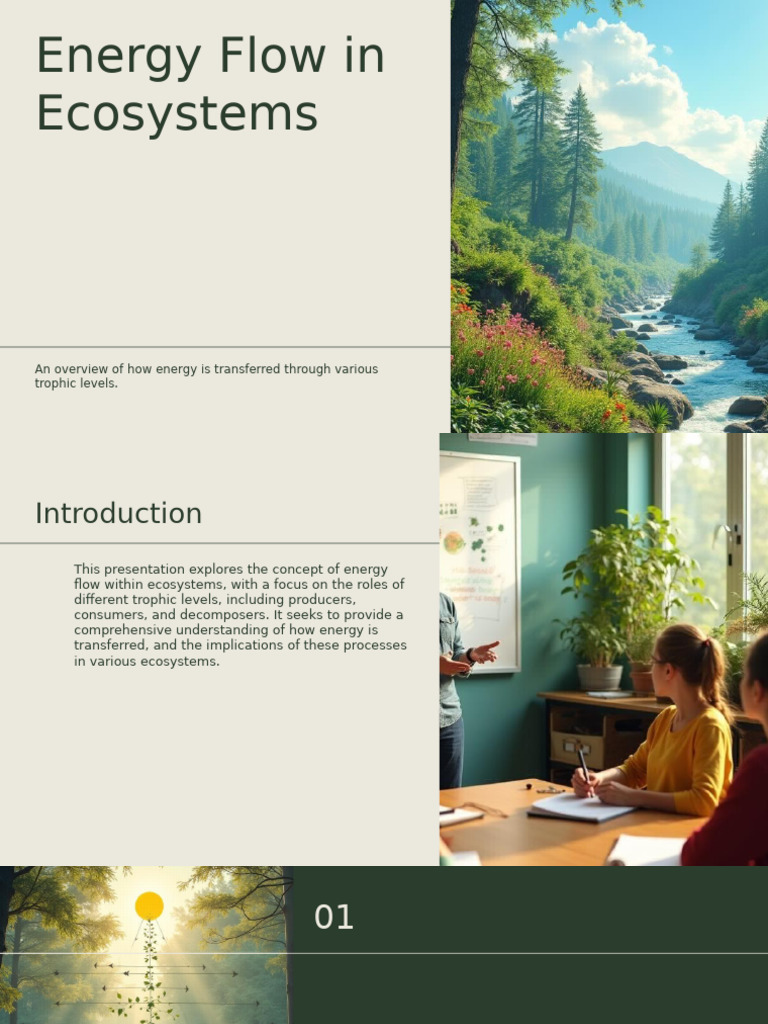 Energy Flow in Ecosystems | PDF | Ecosystem | Food Web