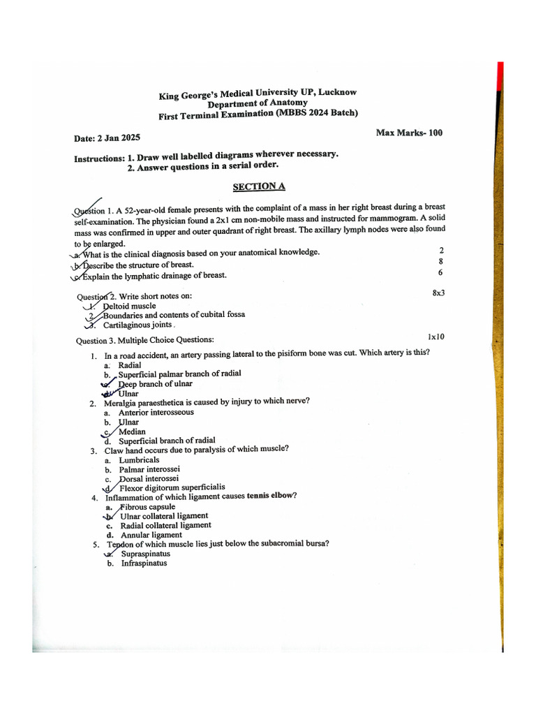 1st Terminal Paper 2024 Batch | PDF