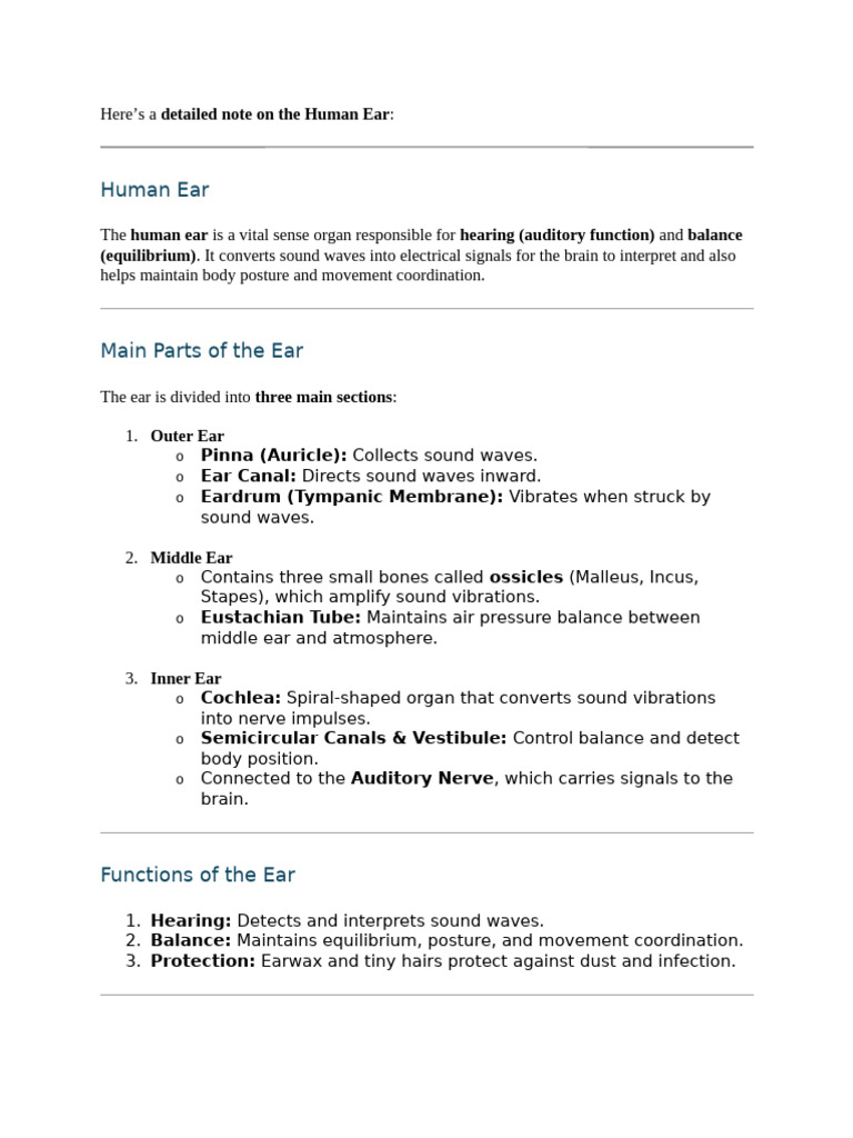Anatomy and Functions of the Human Ear | PDF