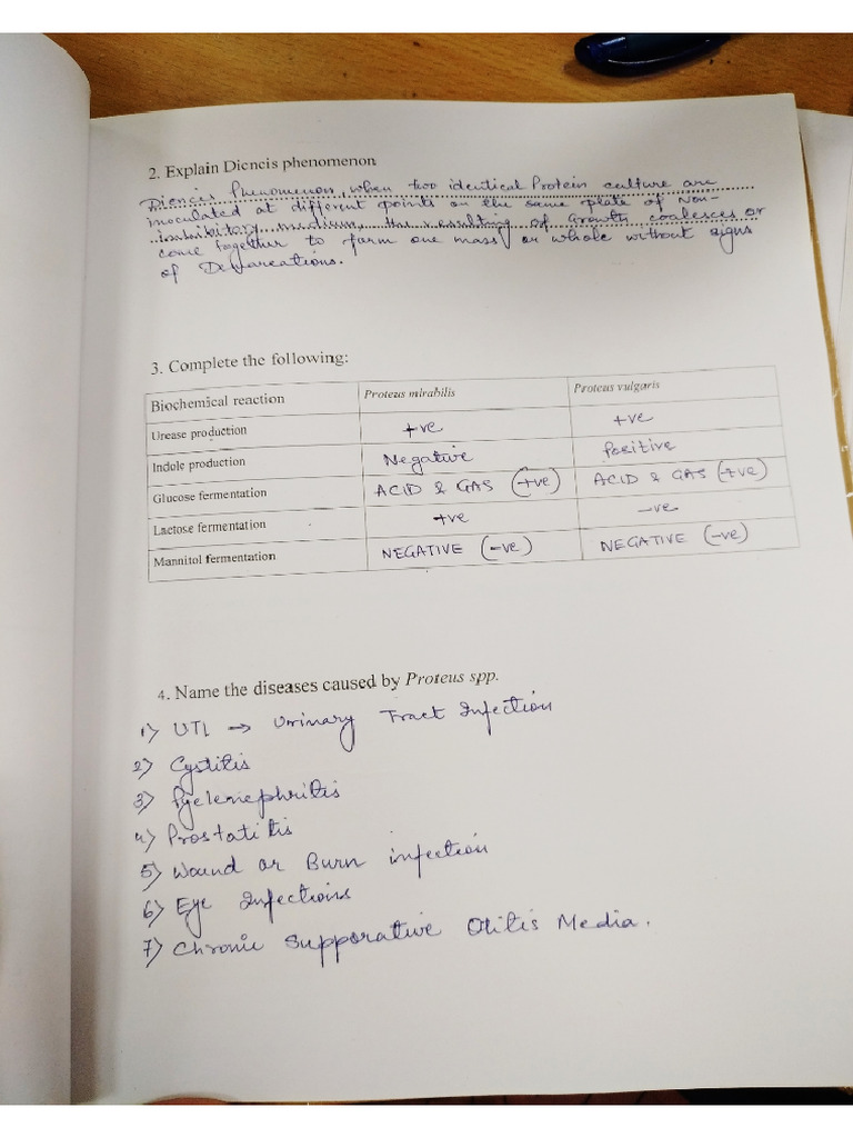 Microbiology File Work | PDF