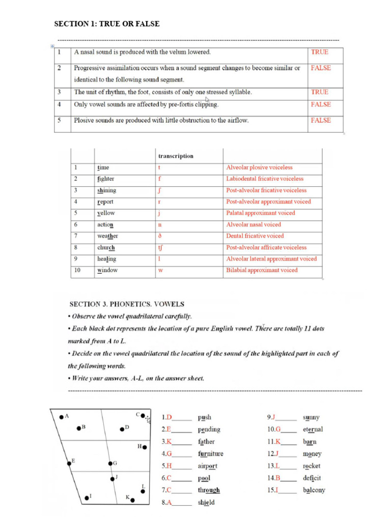 Template Mid-Term Phonetics & Phonology | PDF
