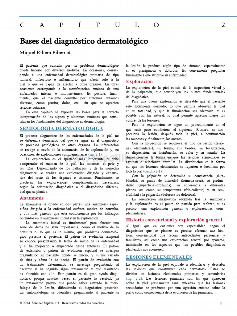 Dermato Primer Parcial Tema 2 | PDF | Piel | Epidermis