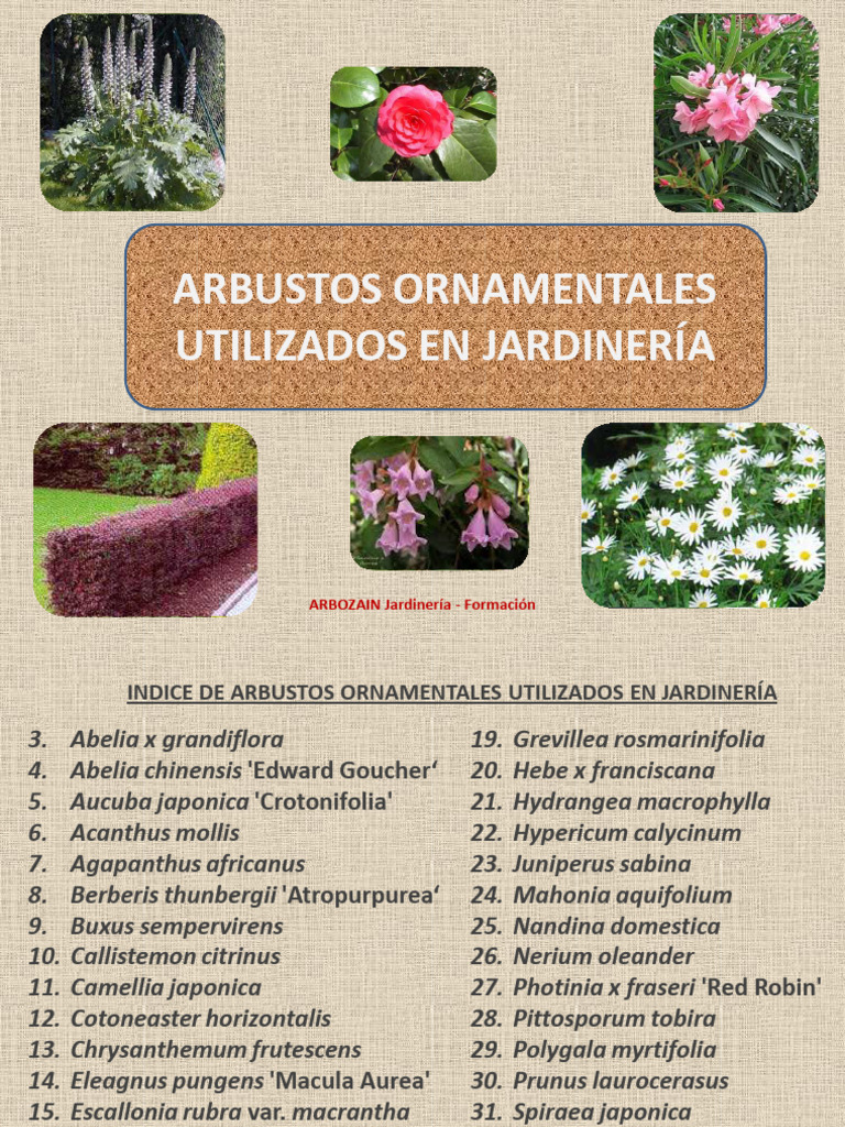 Arbustos Ornamentales en Jardinería | PDF | Arbusto | Flores