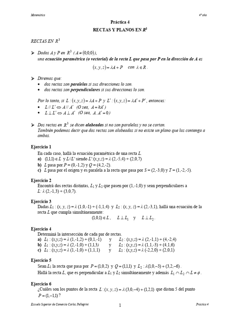 Práctica 4-Rectas y Planos en R3 | PDF | Línea (geometría) | Vector ...