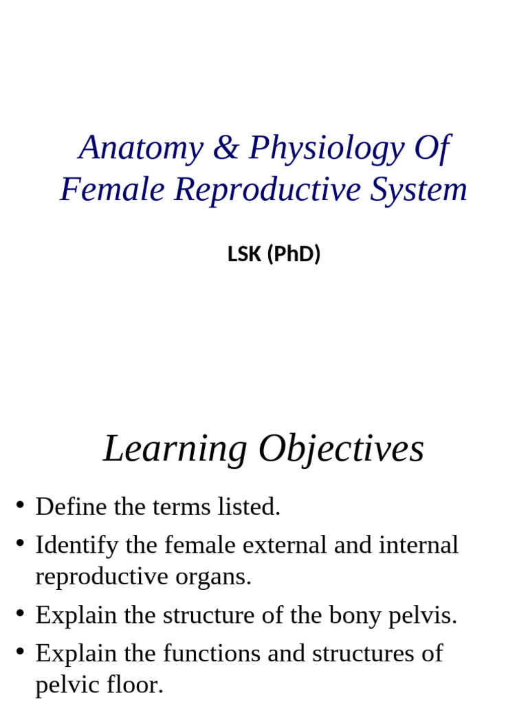 Female Reproductive System | PDF | Uterus | Pelvis