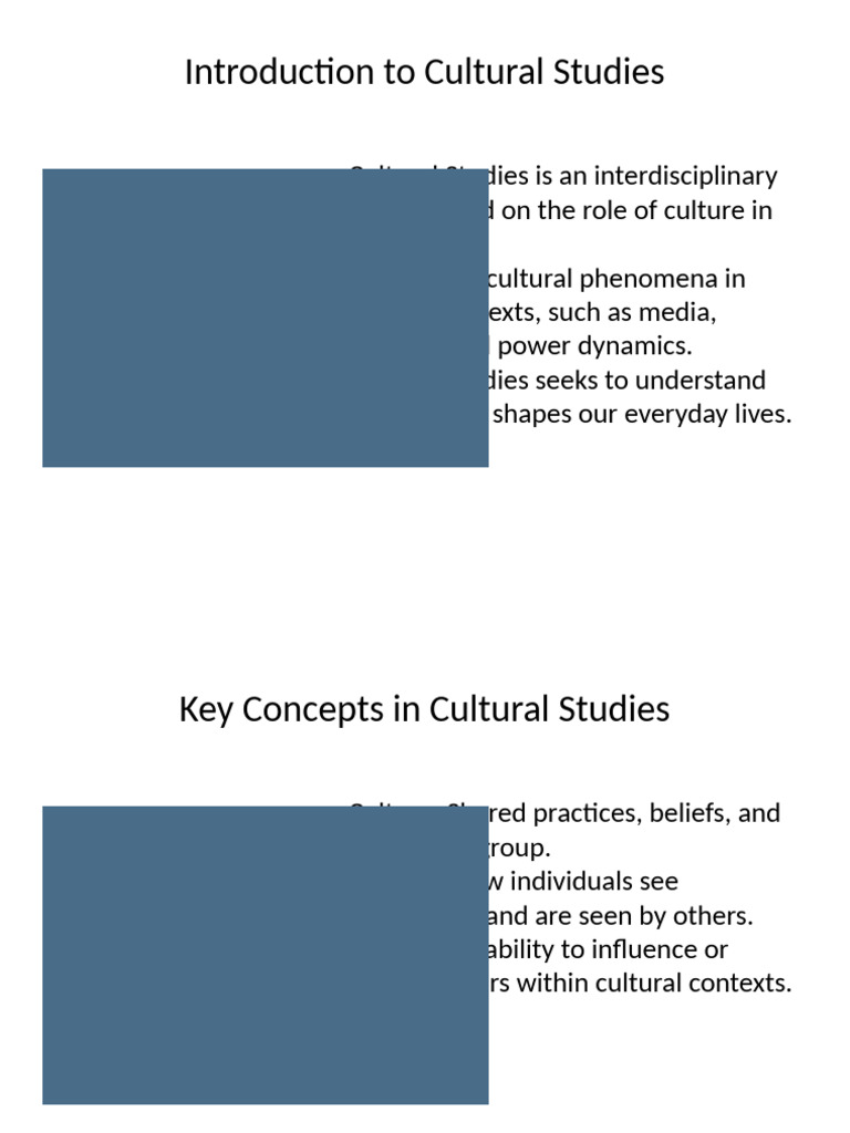 Understanding Cultural Studies Essentials | PDF | Cultural Studies ...