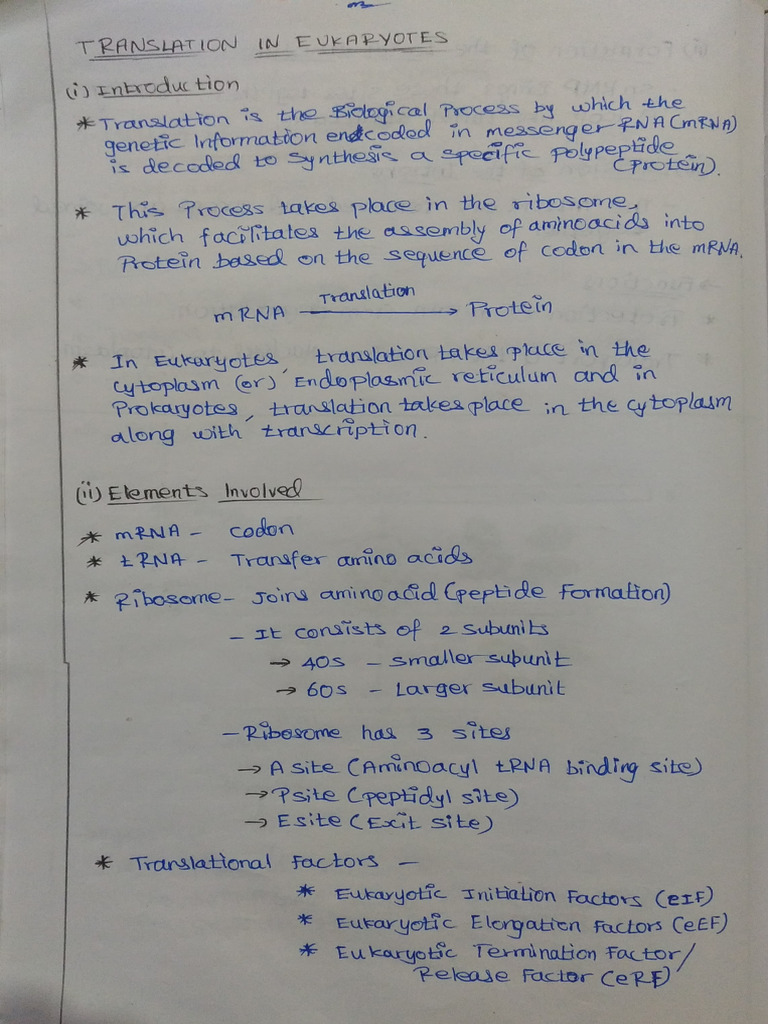 Translation in Eukaryotes (10m) - RS | PDF | Translation (Biology ...