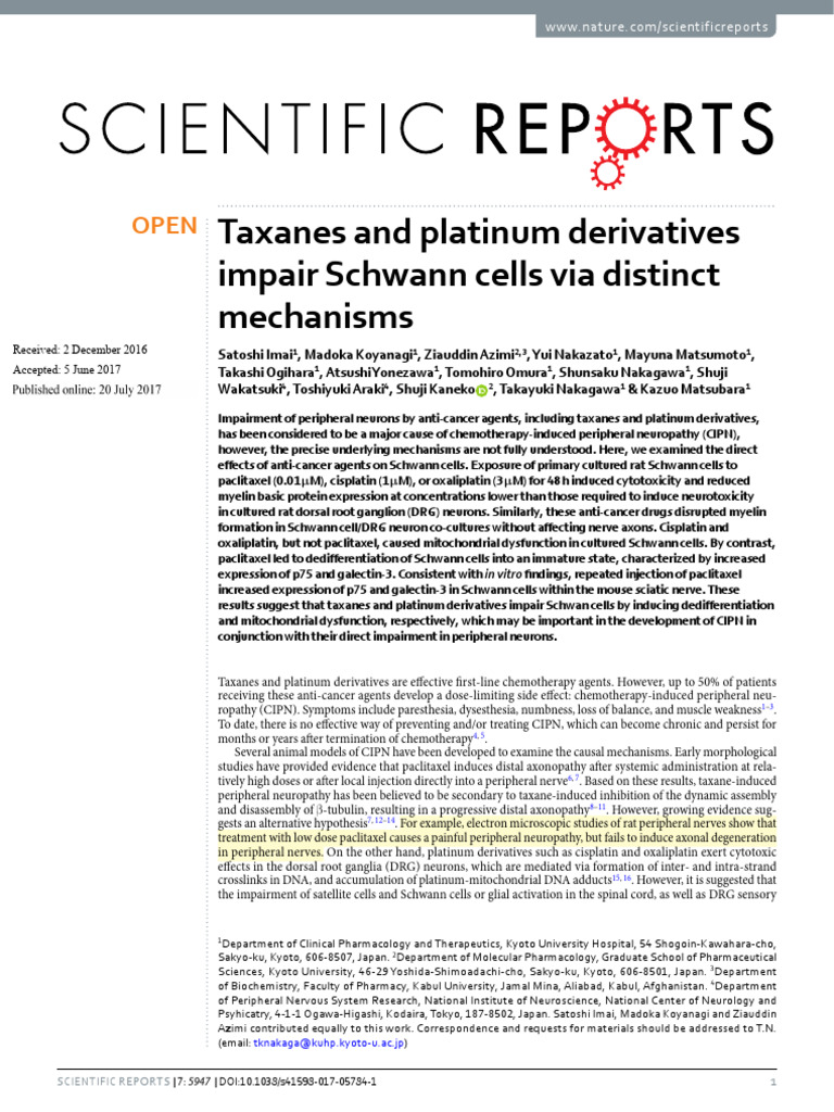 Taxanes and Platinum Drugs Impact Schwann Cells | PDF | Axon | Neuroanatomy