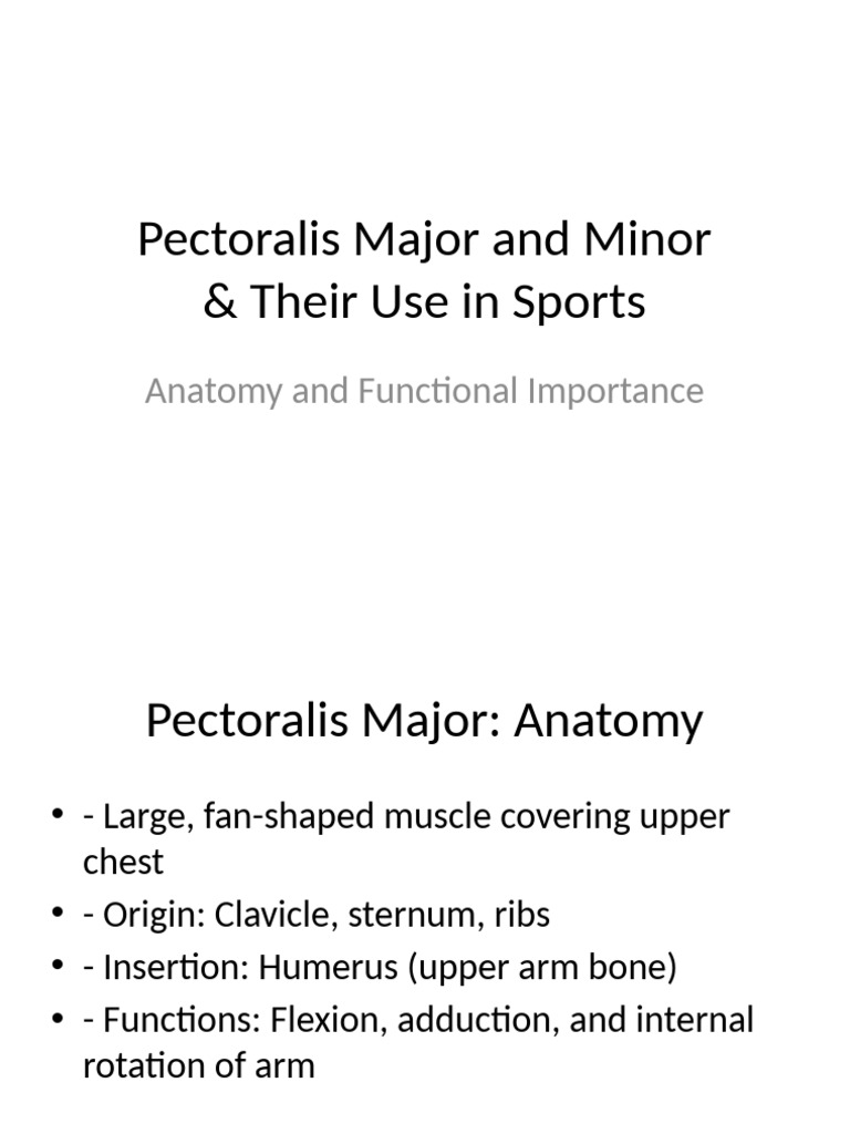 Pectoralis Muscles Sports | PDF