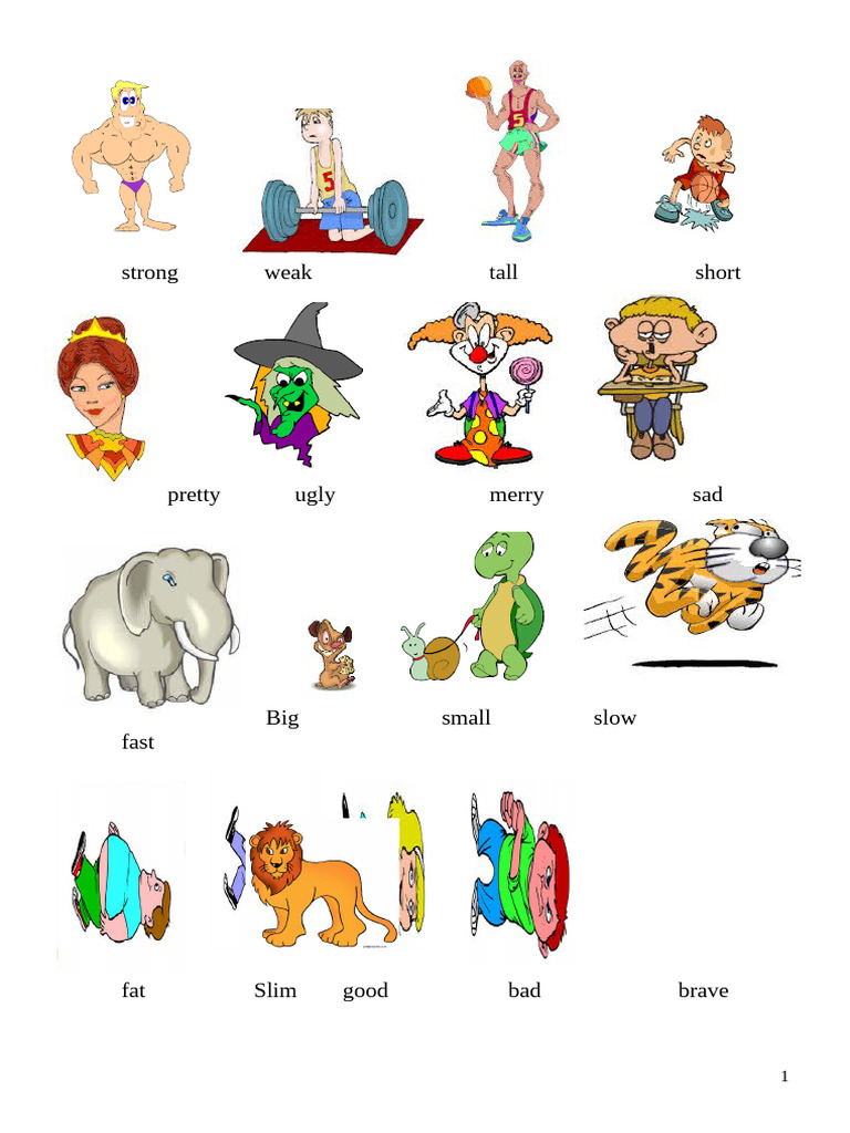 Adjectives Flashcards Picture Description Exercises 17929 | PDF