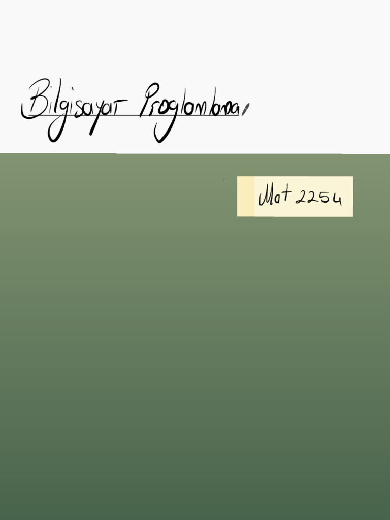 Bilgisayar Programlama | PDF