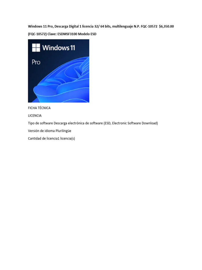 Windows 11 Pro | PDF