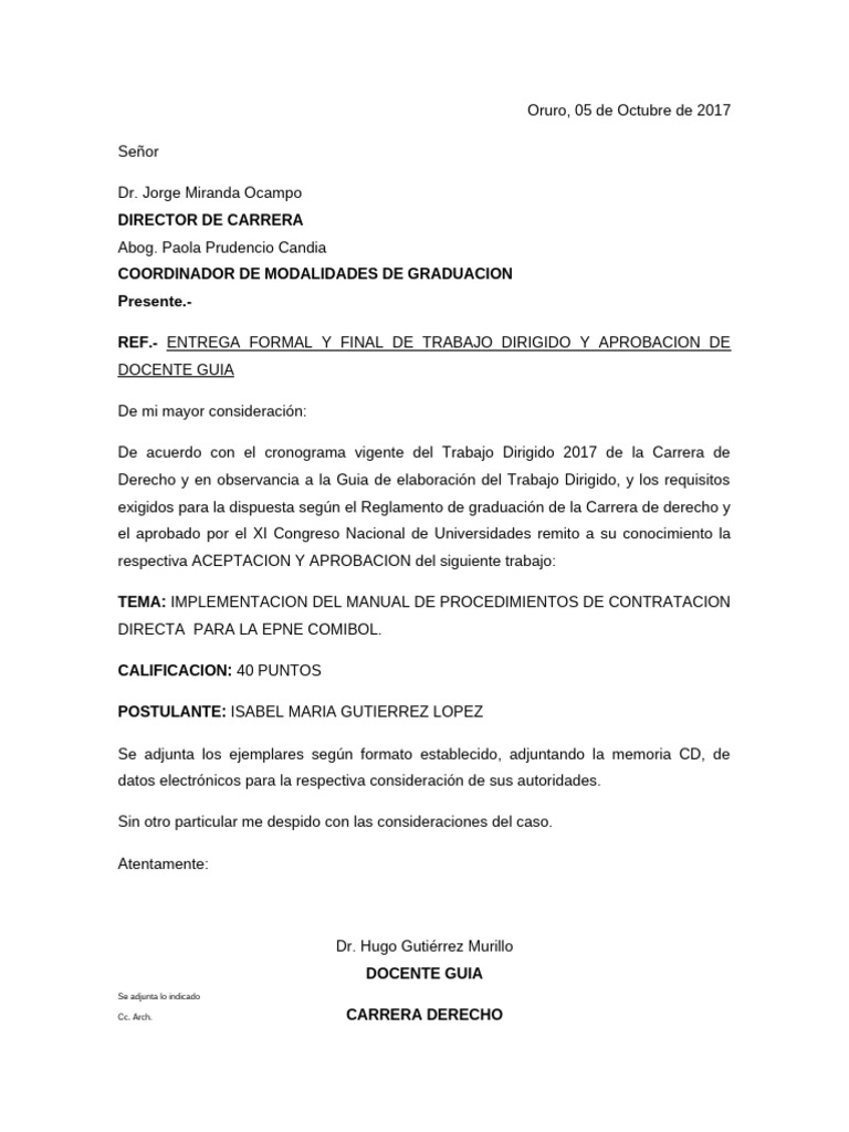 Informe Trab Dirigido | PDF