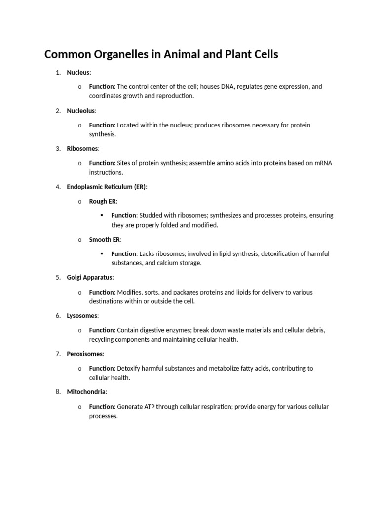 Key Organelles in Animal and Plant Cells | PDF | Rna | Cell (Biology)