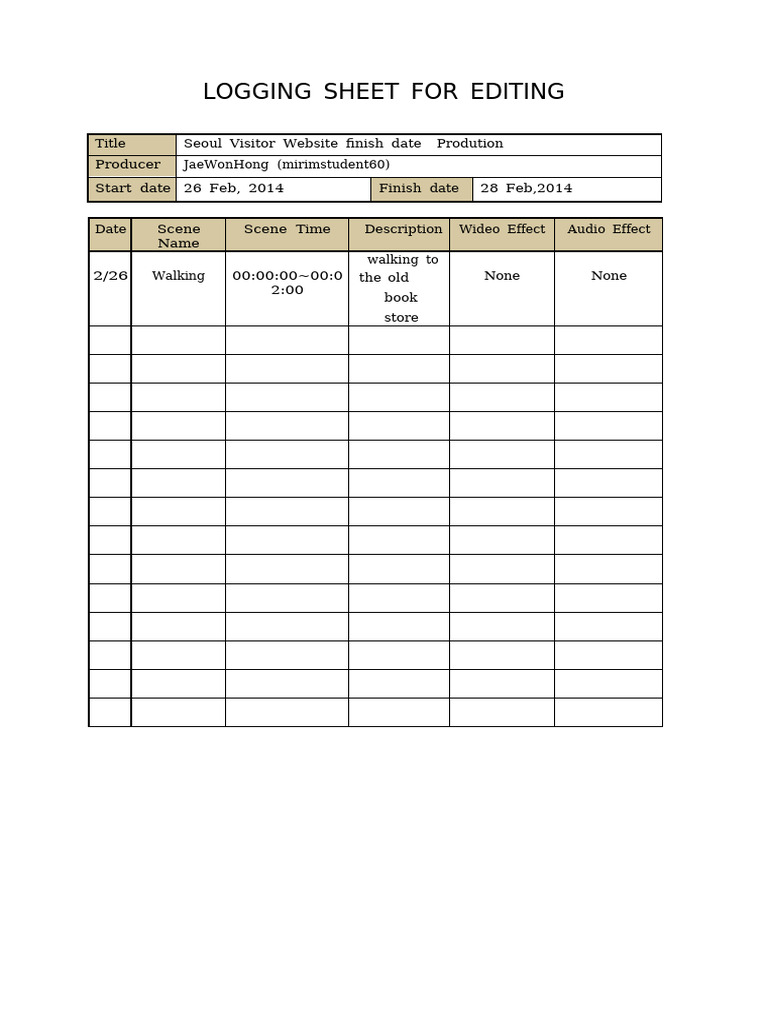 Logging Sheet For Editing | PDF