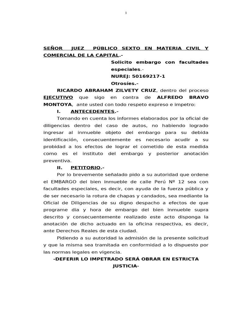 4 Embargo Formalizo Ejecutivo Ricardo Silvety 2025 | PDF | Justicia ...